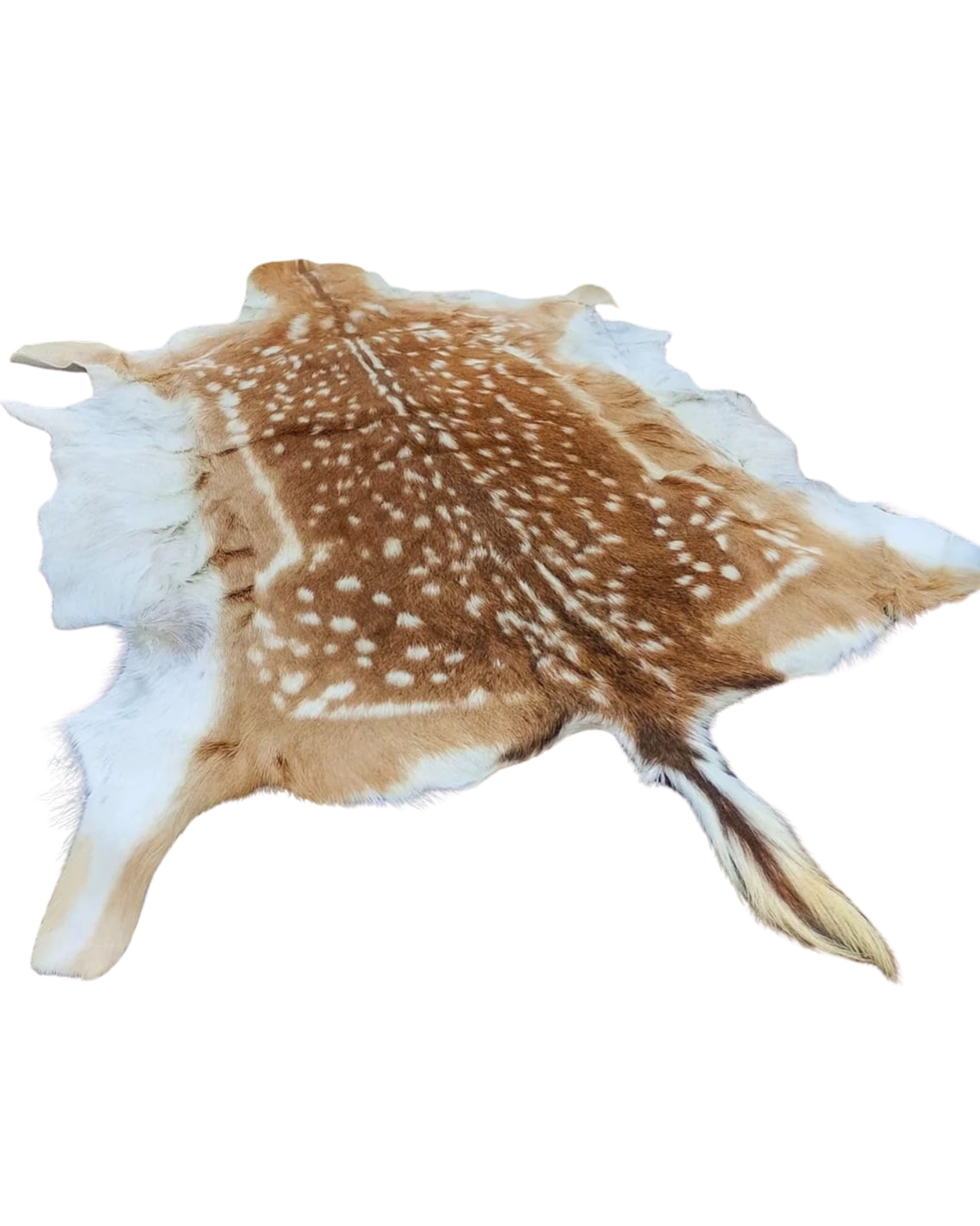Fallow Deer Skin – Bex Creations - Timber & Hide